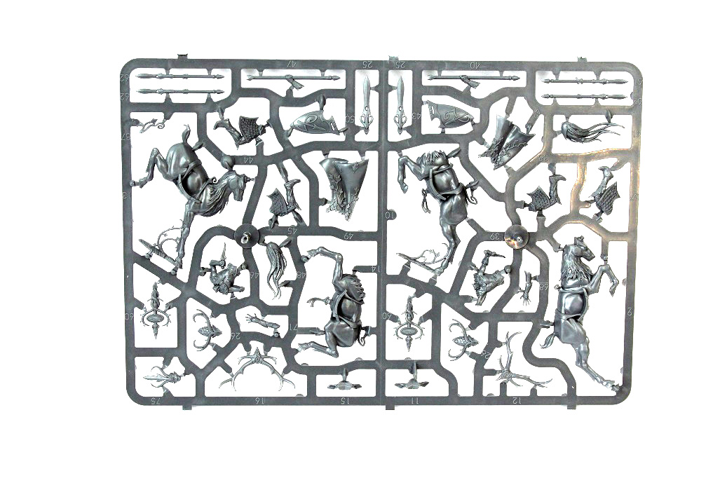 Wood Elves Sisters of the Thorn / Wild Riders